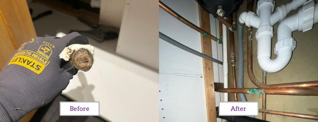 Boiler Condensate Pipe Regulations: What You Need To Know - Happy Dog ...